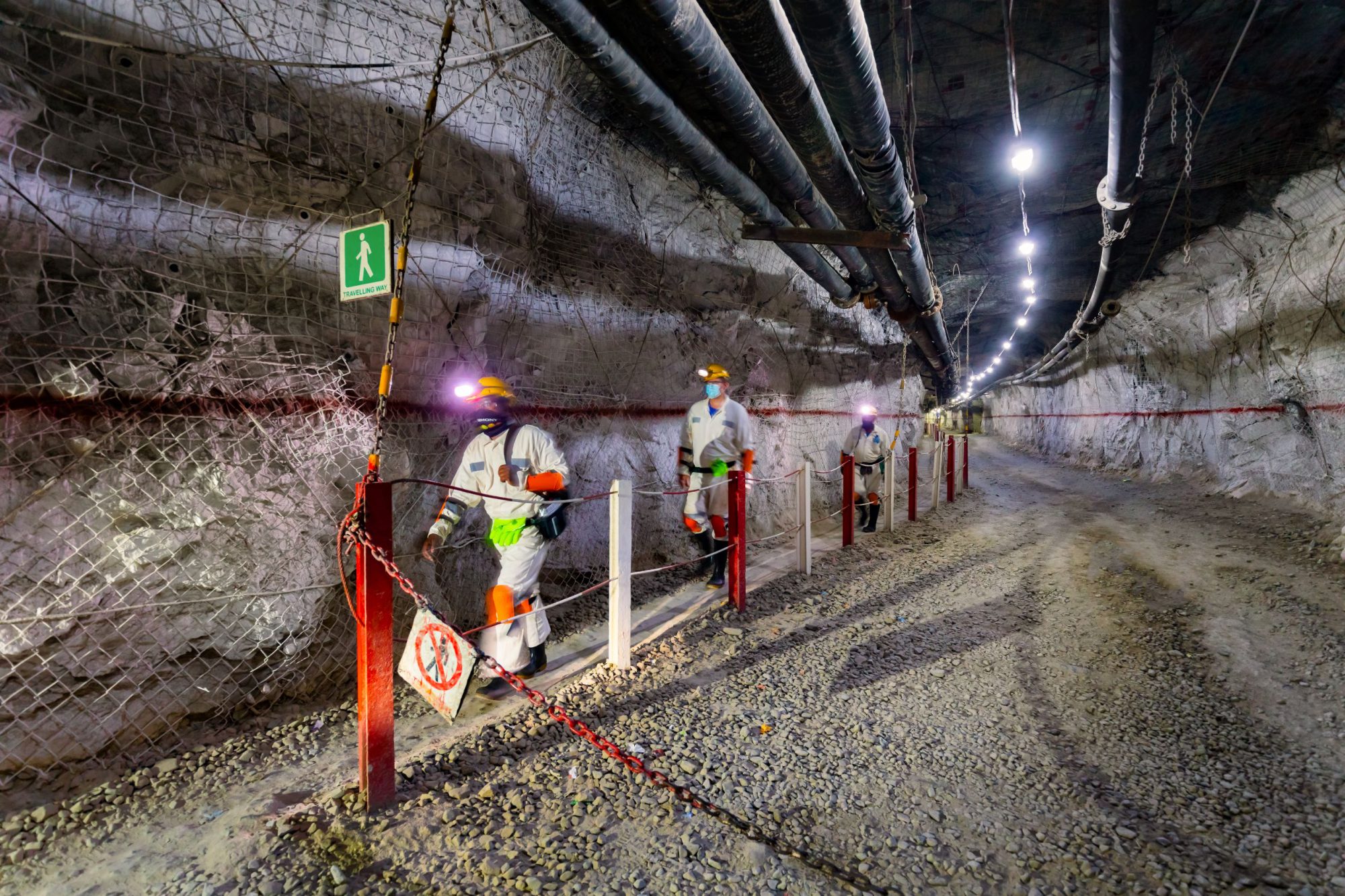 Dr Patrice Motsepe | Harmony Gold Mining Company Limited