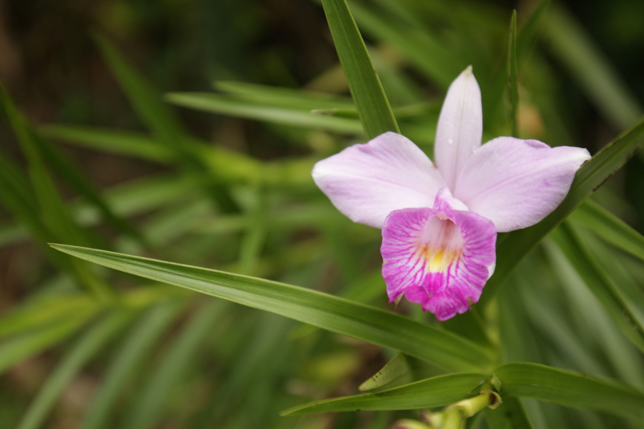 Biodiversity | Sustainability | Harmony