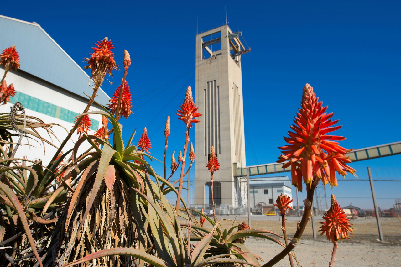 Shareholder information | Harmony Gold Mining Company Limited