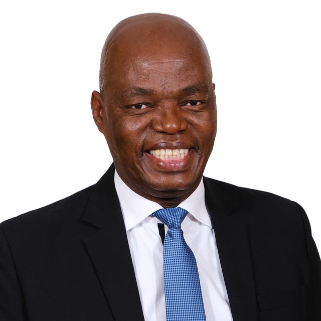 Dr Mashego Mashego | Harmony Gold Mining Company Limited