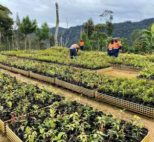 Land Rehabilitation Sustainability | Harmony