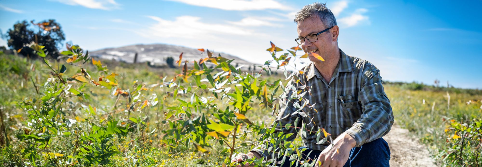 Land Rehabilitation Sustainability | Harmony