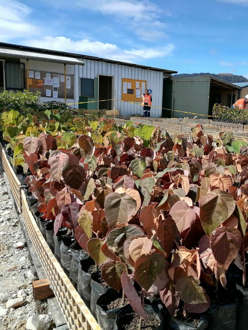 Land Rehabilitation Sustainability | Harmony