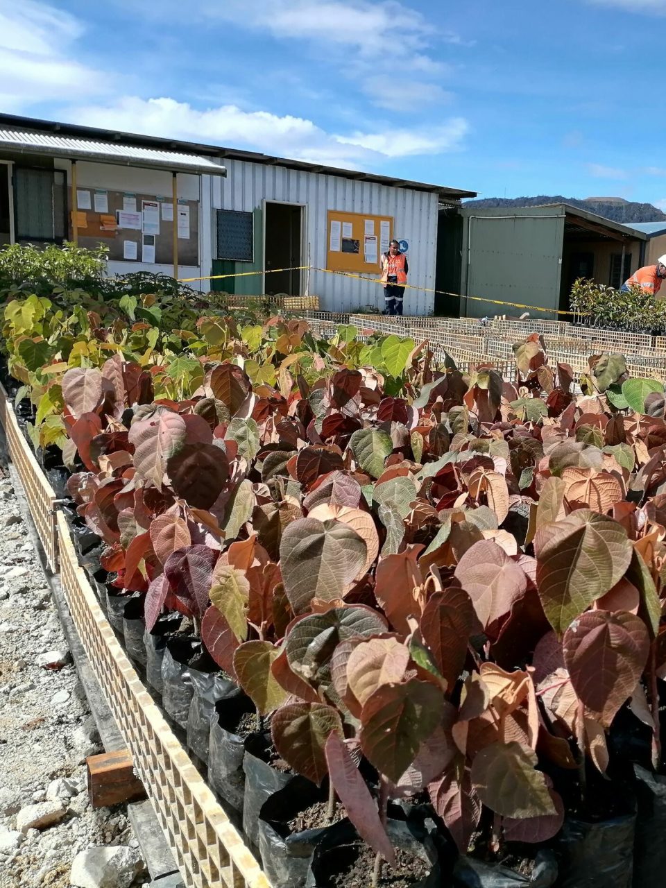 Land Rehabilitation Sustainability | Harmony