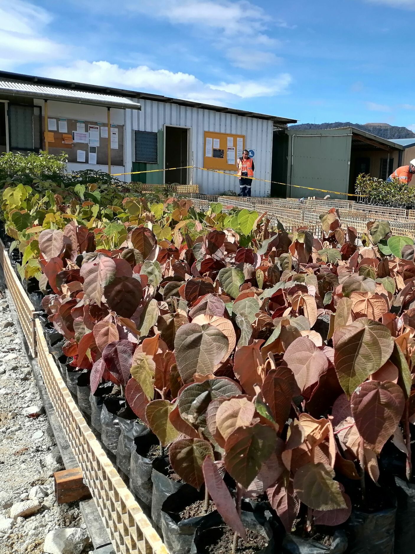 Land Rehabilitation Sustainability | Harmony