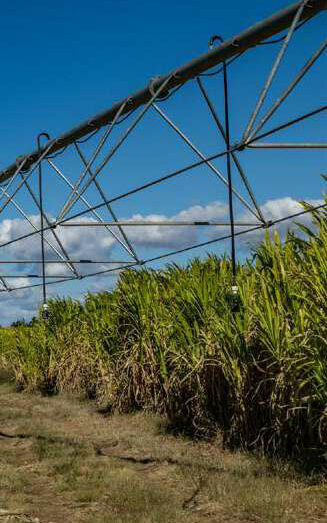 Land Rehabilitation Sustainability | Harmony